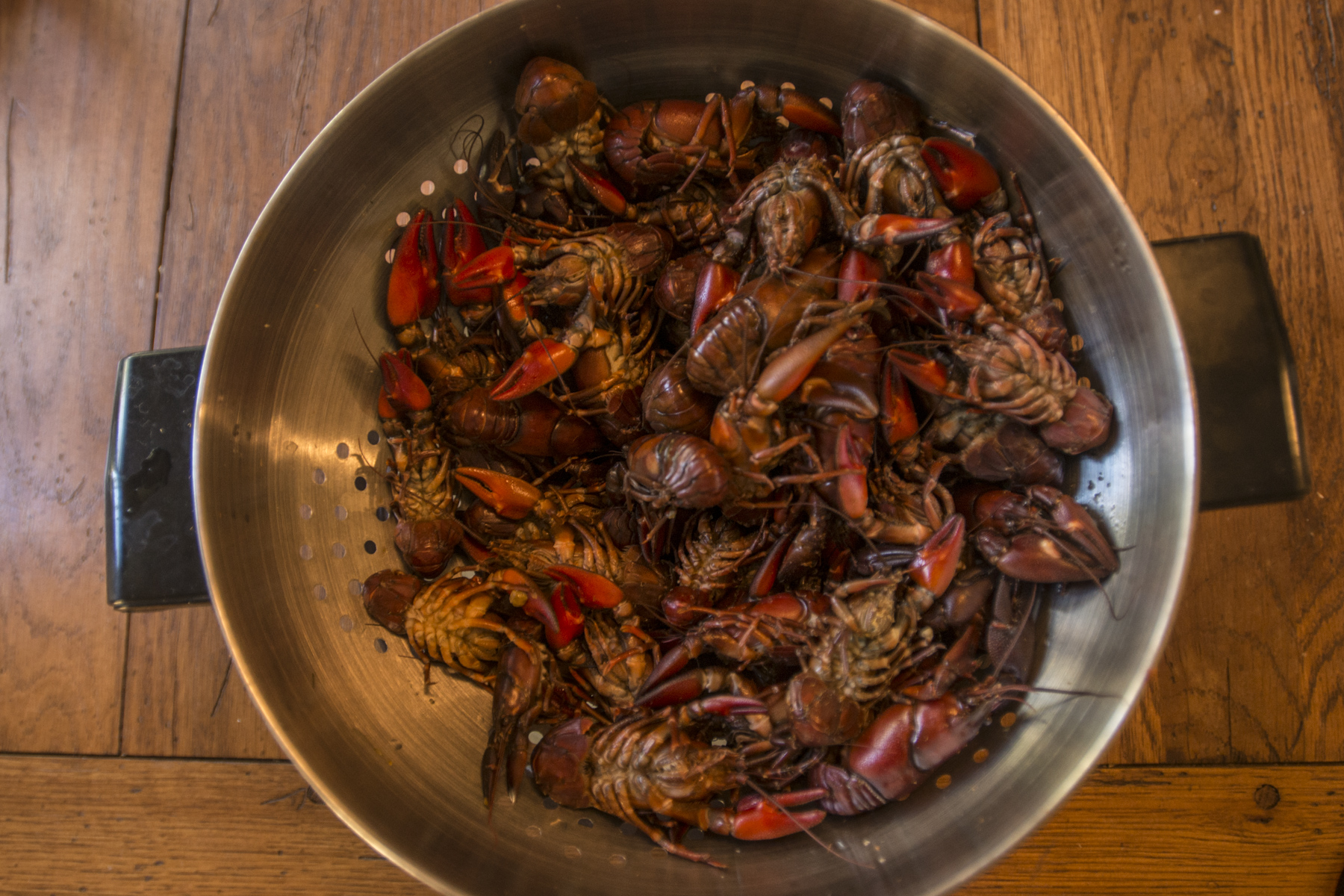 Crayfish Week at Crater Lake | Our World – Underwater Scholarship Society™