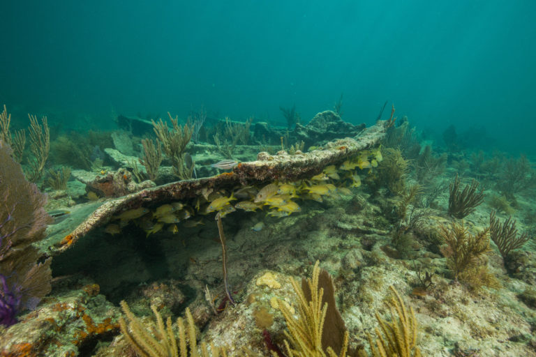 Traveling the Maritime Heritage Trail in Biscayne National Park | Our ...