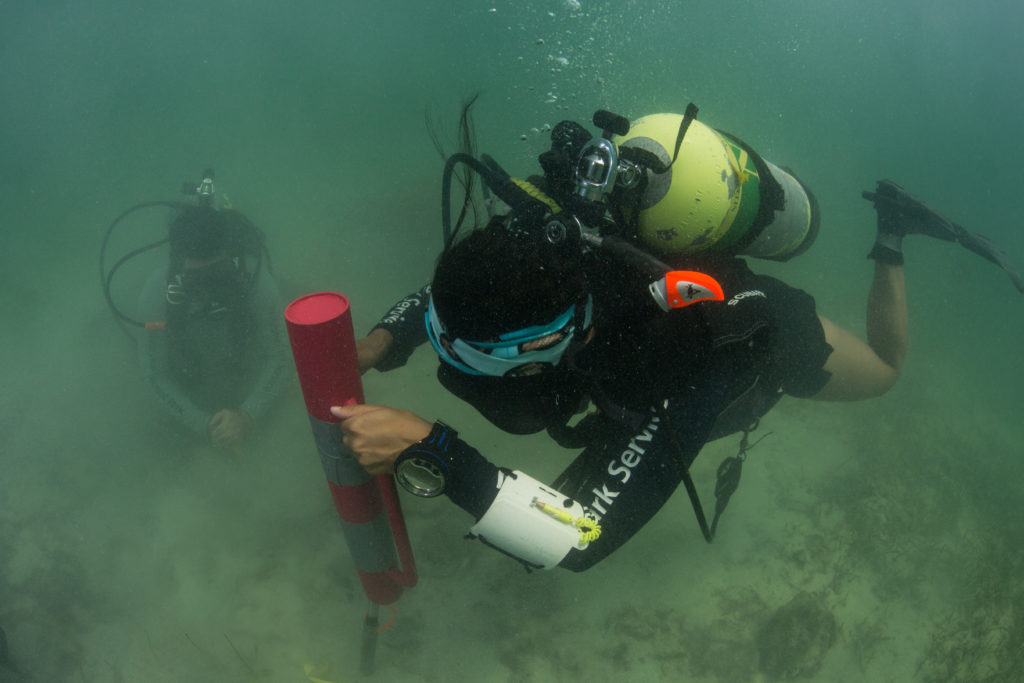 Traveling the Maritime Heritage Trail in Biscayne National Park | Our ...