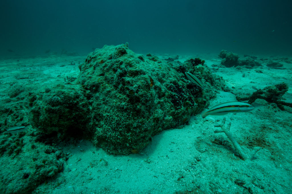 Traveling the Maritime Heritage Trail in Biscayne National Park | Our ...