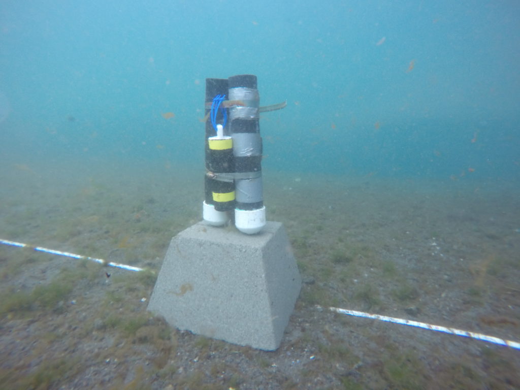 Search and Recovery | Our World – Underwater Scholarship Society™