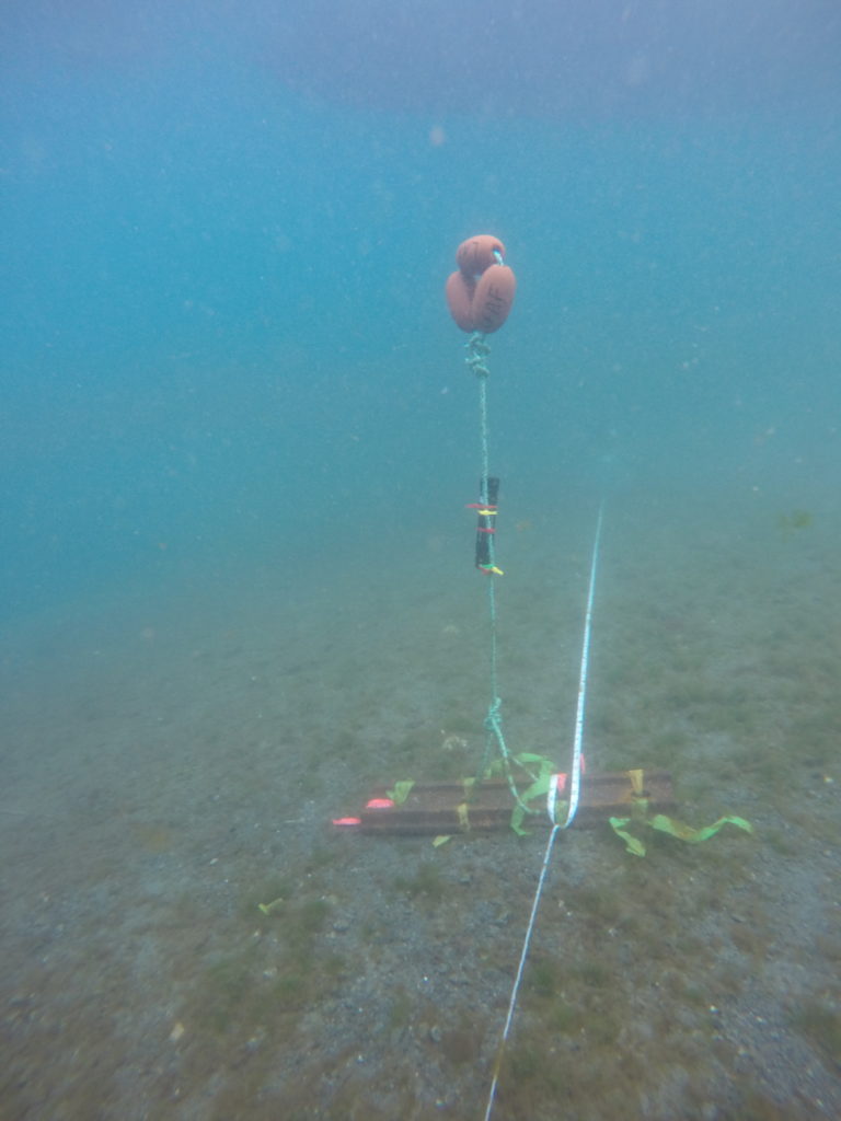 Search and Recovery | Our World – Underwater Scholarship Society™