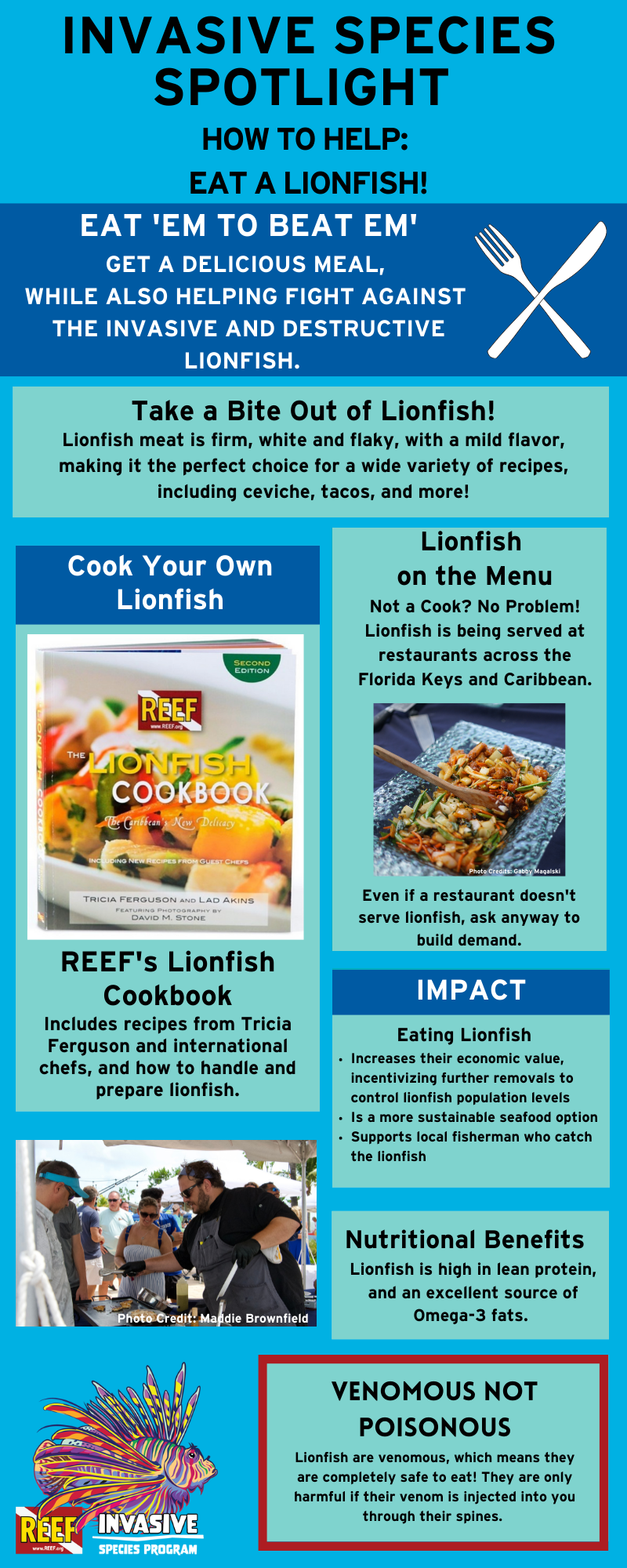 Taking a Bite Out of Lionfish | Our World – Underwater Scholarship Society®